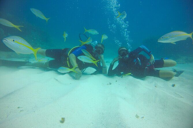 Discover Scuba Diving - DSD - The Sum Up