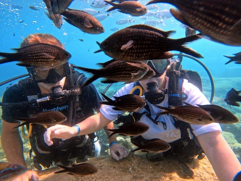 Discover Scuba Diving Experience - What is the Discover Scuba Diving Experience?