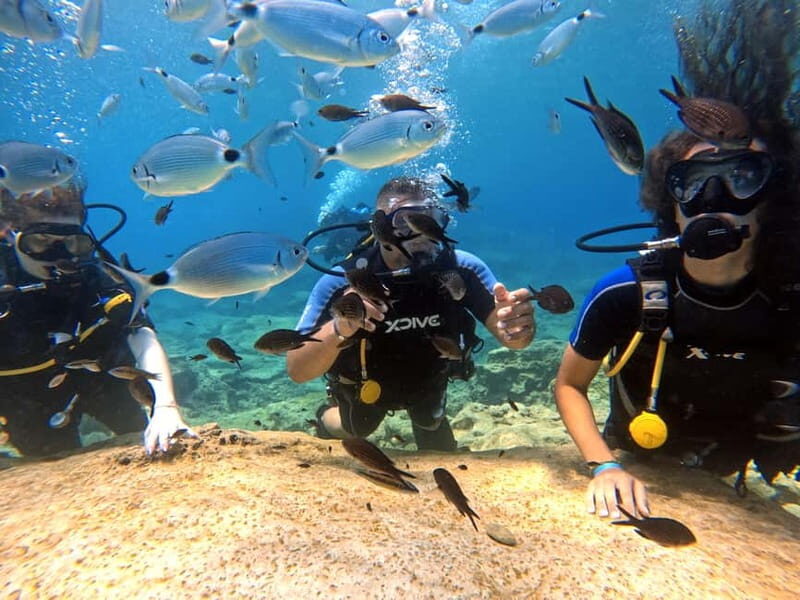Discover Scuba Diving Experience - The Practicalities: What You Need to Know