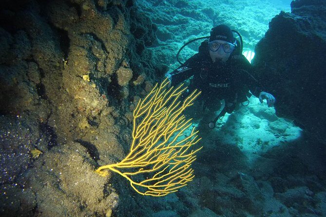 DISCOVER SCUBA DIVING - First step to your certification - Key Points