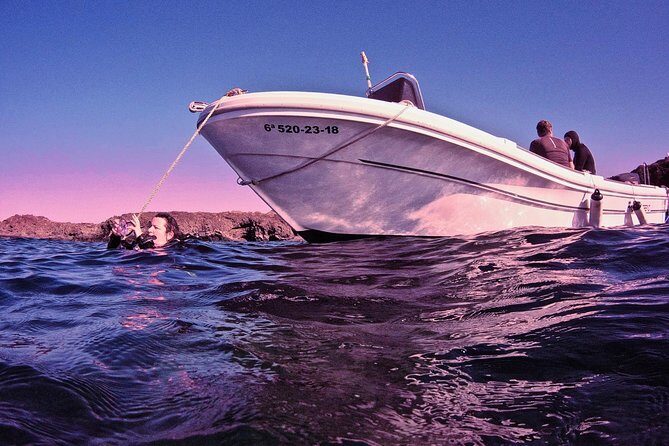 DISCOVER SCUBA DIVING - First step to your certification - An Authentic Dive into Tenerife’s Underwater Charm