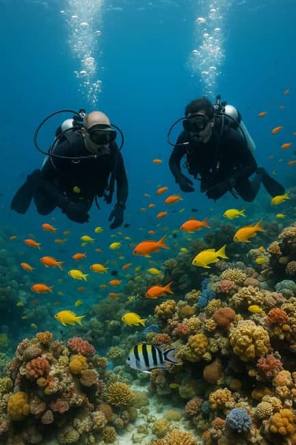 Discover Scuba Diving for Beginners  Negril - Price and Value: Is It Worth It?