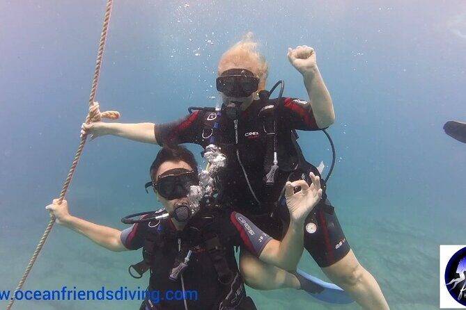 Discover Scuba Diving, free pictures included - The Authentic Tenerife Underwater Adventure