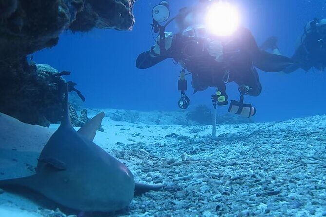 Discover Scuba Diving From Boat - FAQ