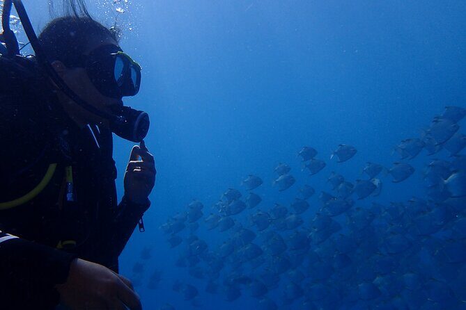 Discover Scuba Diving in Bali with photo and video - Practical Details & Tips