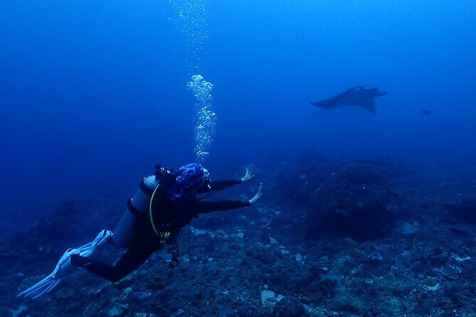 Discover Scuba Diving in Bali with photo and video - Final Thoughts