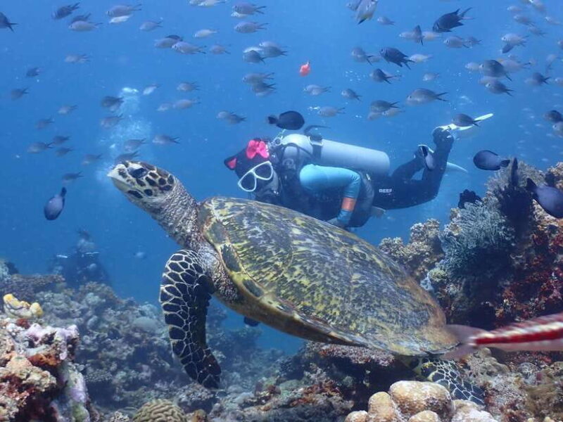 Discover Scuba Diving in Boracay - Key Points