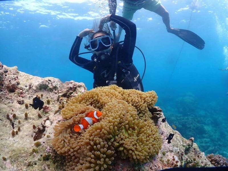 Discover Scuba Diving in Boracay - Price and What It Really Offers
