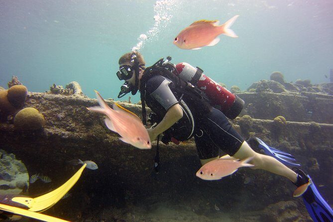 Discover Scuba Diving in Curacao - The Itinerary in Detail