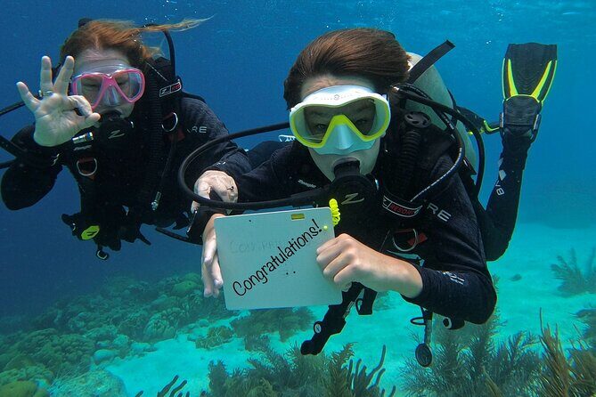 Discover Scuba Diving in Diver's Paradise! - Discover Scuba Diving in Divers Paradise!