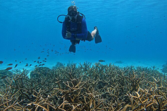 Discover Scuba Diving in Diver's Paradise! - Who Is This Tour Best For?