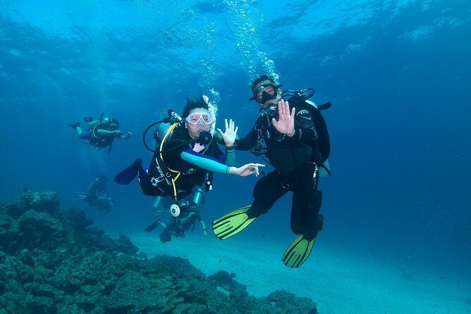 Discover Scuba Diving in Koh Lanta, Thailand - Key Points