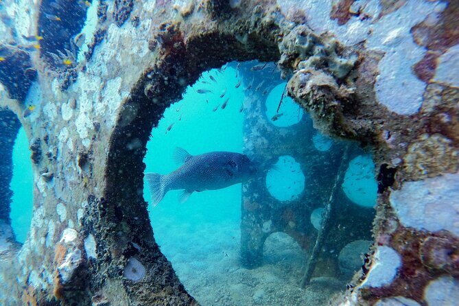 Discover Scuba Diving in Koh Rong - FAQ