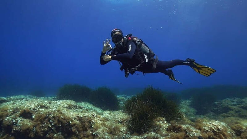 Discover Scuba Diving in Menorca: your first underwater adventure - Key Points