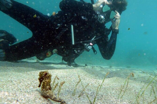 Discover Scuba Diving in San Juan - An Honest Look at the Experience