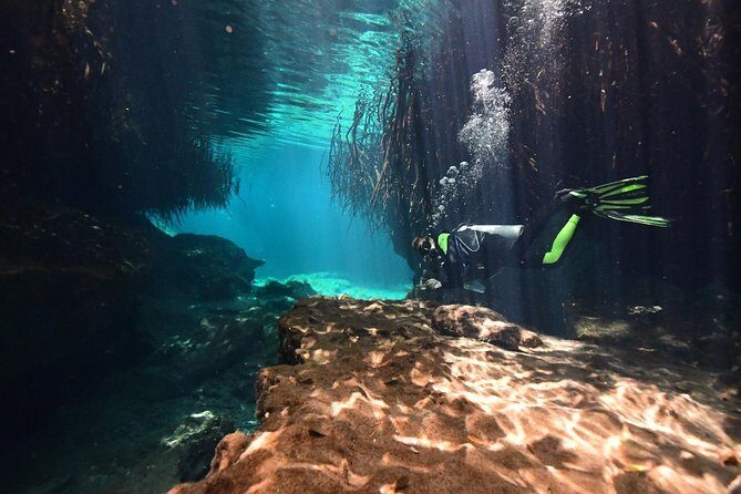 Discover Scuba Diving in Tulum - Final Thoughts: Why This Tour Shines