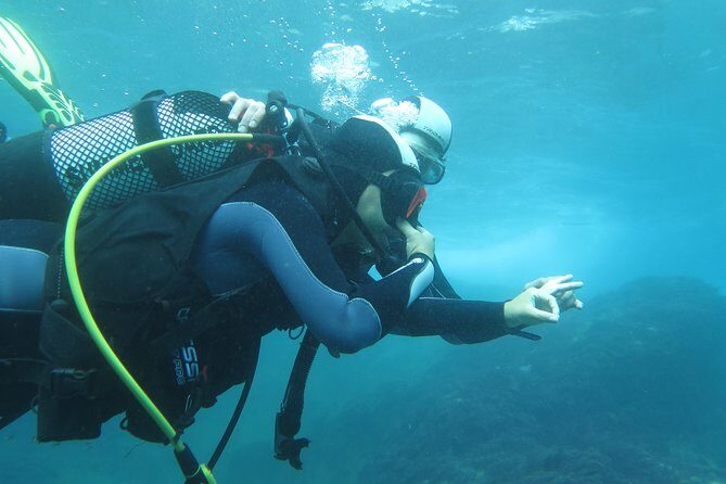 Discover Scuba Diving or Try dive - Final Thoughts on Value and Experience