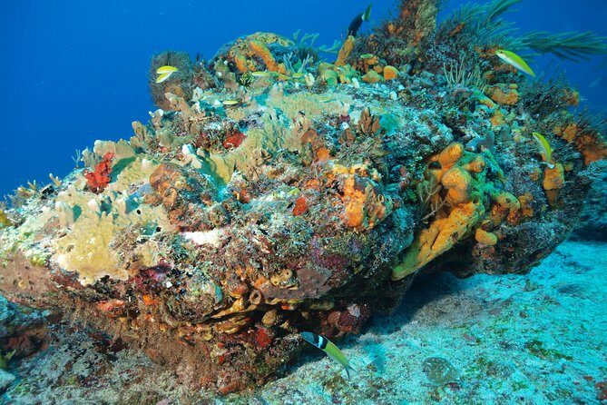 Discover Scuba Diving PADI in Playa del Carmen including underwater video - An Honest Look at the Experience