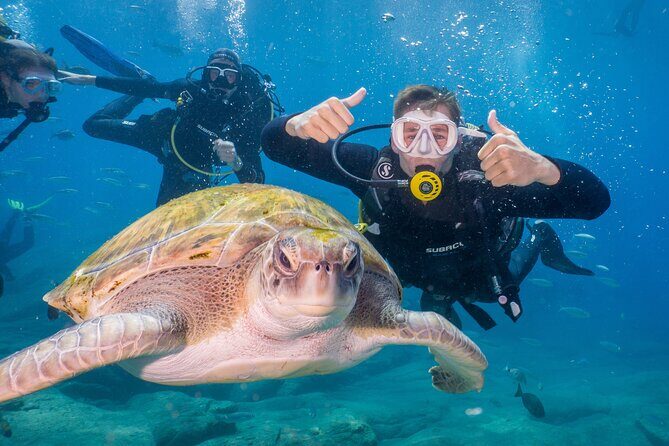 Discover Scuba Diving: Training plus boat dive! - Discover Scuba Diving: Training plus boat dive!—A Practical Look at an Authentic Tenerife Underwater Adventure