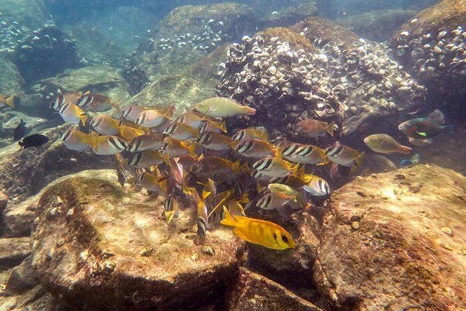 Discover Scuba Diving, try dive for beginners ( Start at Ko Kut) - Final Thoughts