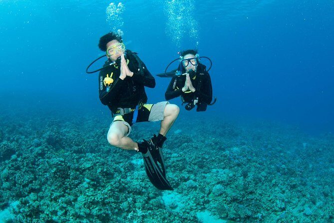 Discover Scuba diving, try diving for beginners (starts from Koh Chang) - How This Tour Works: A Step-By-Step Breakdown