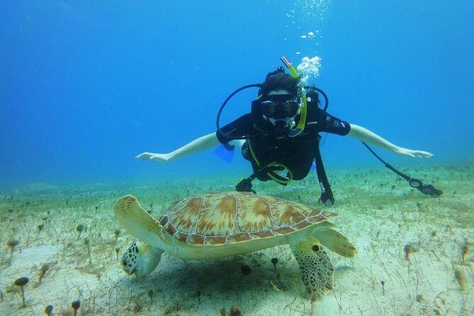 Discover Scuba Diving with No Certification in St Thomas - A Detailed Look at the Experience