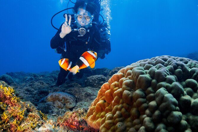 Discover Scuba Diving With Sea Turtles  Xiaoliuqiu, Taiwan - An Introduction to Xiaoliuqiu’s Underwater Charm