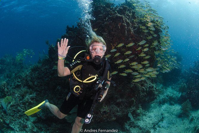 Discover scuba ,MUSA and Manchones reef dive without license - The Experience: What Travelers Are Saying