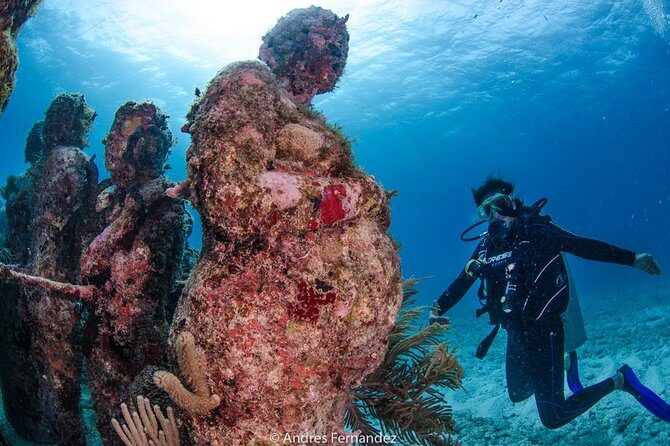 Discover scuba ,MUSA and Manchones reef dive without license - FAQ