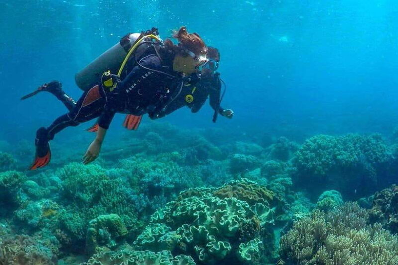 Discover Scuba: PADI Intro Dive in Dauin - Key Points