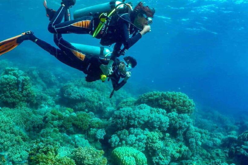Discover Scuba: PADI Intro Dive in Dauin - Overview of the Experience