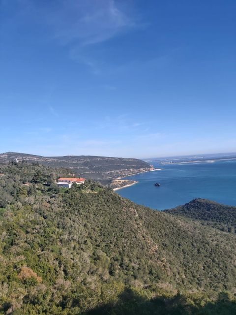 Discover Setúbal´s Secrets: Wine, Culture and Arrabida Magic - Frequently Asked Questions