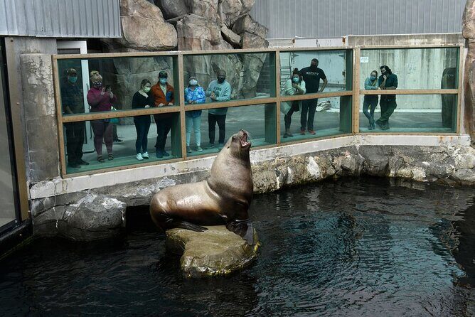 Discover Seward: Self-Guided Audio Tour - What Travelers Are Saying