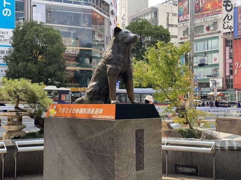 Discover Shibuya Culture and Street Life with a Local Guide - Experience the Heart of Shibuya