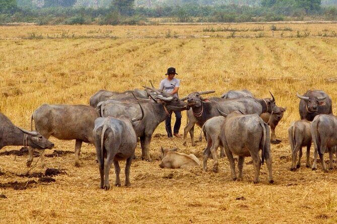 Discover Siem Reap's beauty on thrilling half-day motorbike tour - FAQ