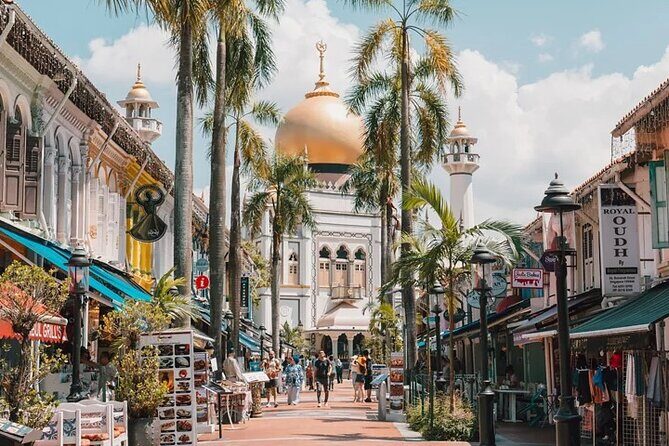 Discover Singapore Cultural Heritage on a Private Walking Tour - Key Points