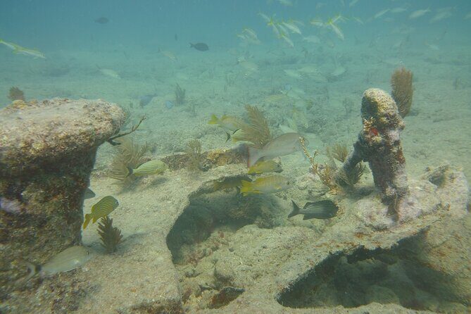 Discover Snorkeling Tour in Panama City - Final Thoughts: Who Will Love This Tour?