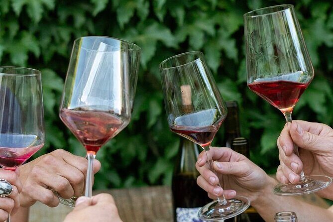 Discover Sonoma's Natural Wineries in Small-Group Tour - Detailed Itinerary & Experience