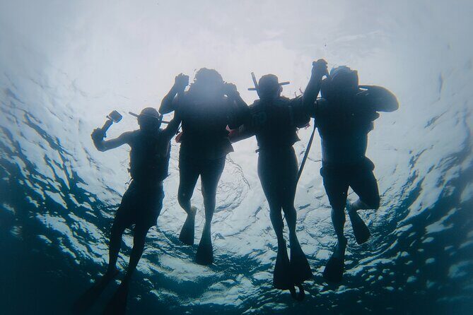 Discover Sosua's Underwater World & Beach Day - The Authentic Touch: Real Travelers’ Perspectives