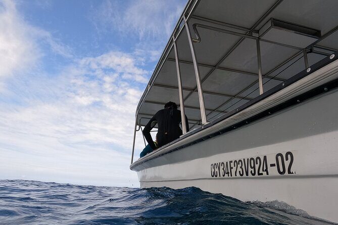 Discover Sosua's Underwater World & Beach Day - The Sum Up