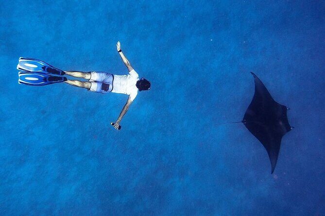 Discover South Ari Atoll - Full Day Tour from Male city - What travelers are saying: insights from reviews