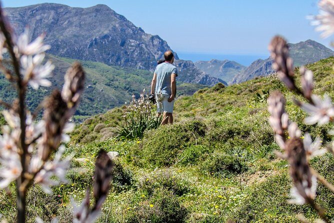 Discover South Crete  Rethymno - What the Experiences Reveal About Crete