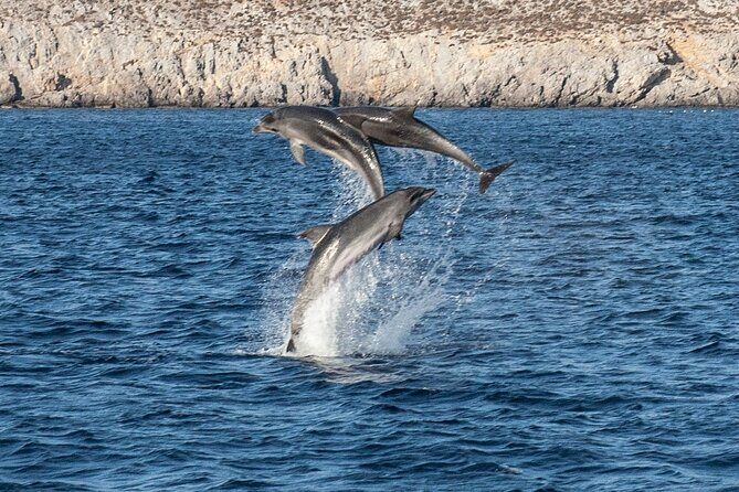 Discover South Naxos Coast Day Cruise - Discover South Naxos Coast Day Cruise – An Authentic Greek Sea Experience
