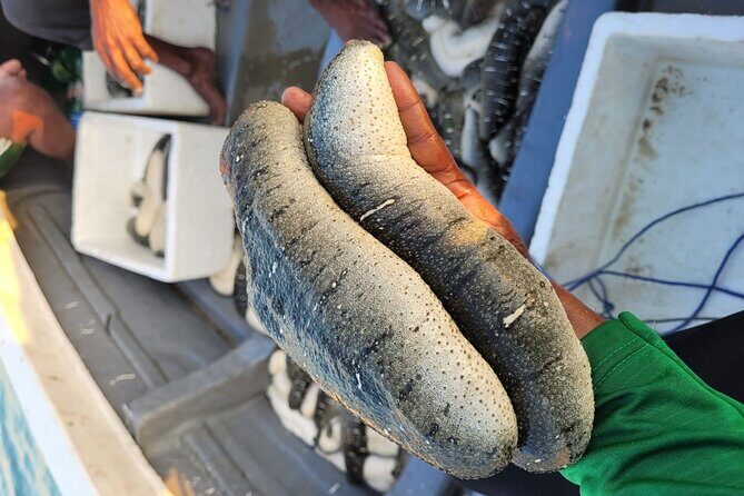 Discover Sri Lankas Unique Marine Farming Culture - Final Thoughts