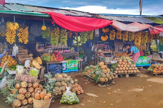 Discover Tagaytay's Countryside: Half-Day Sightseeing Tour - The Value and Practicalities