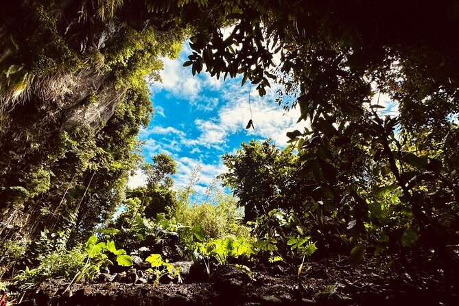 Discover Tahiti Nui, its landscapes and iconic sites. - What Sets This Tour Apart?