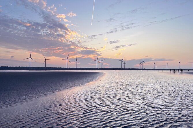 Discover Taichung Private Day Tour from Taipei - Embracing Creativity at Shenji New Village