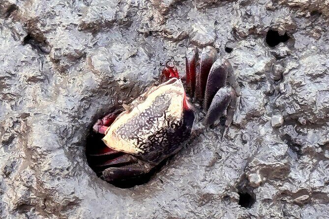 Discover Taichung Private Day Tour from Taipei - What’s Missing?