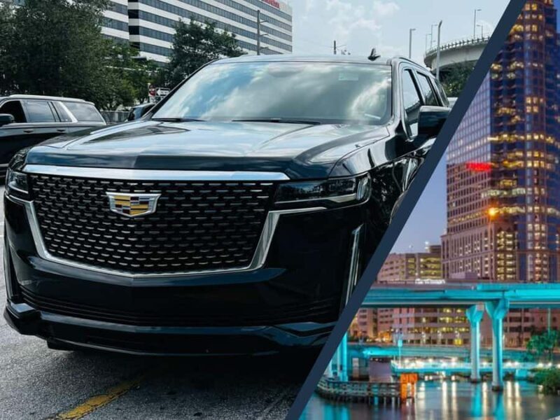 Discover Tampa: Full-Day Tour from Miami (12 Hours) - Practical Details and Value