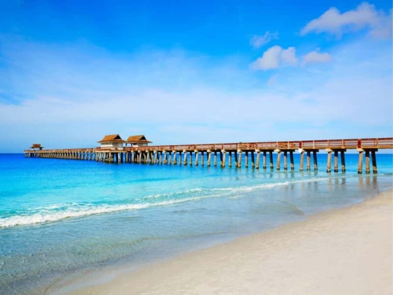 Discover Tampa: Full-Day Tour from Miami (12 Hours) - The Sum Up